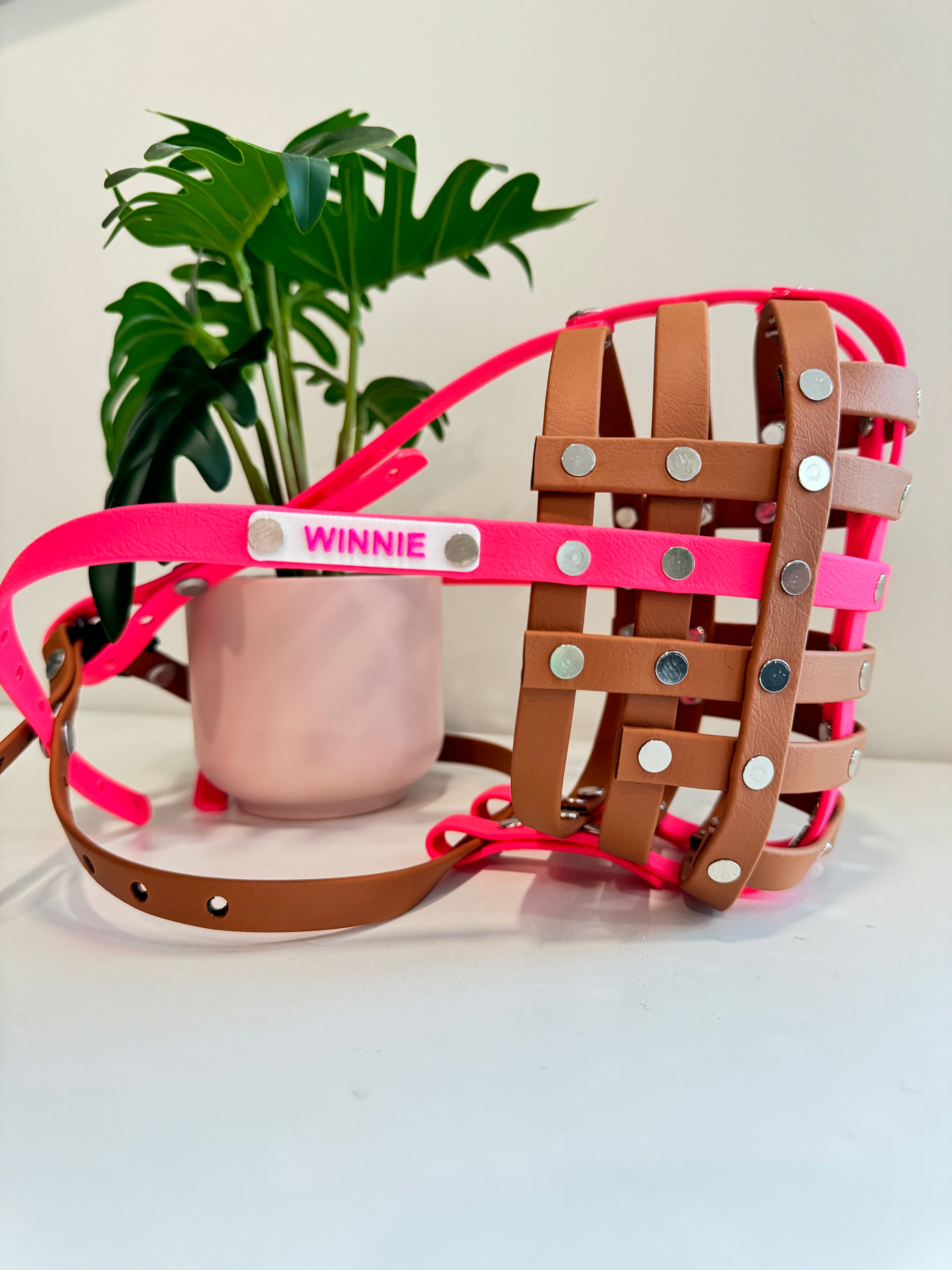 Custom Muzzles – Tye Dye Muzzles