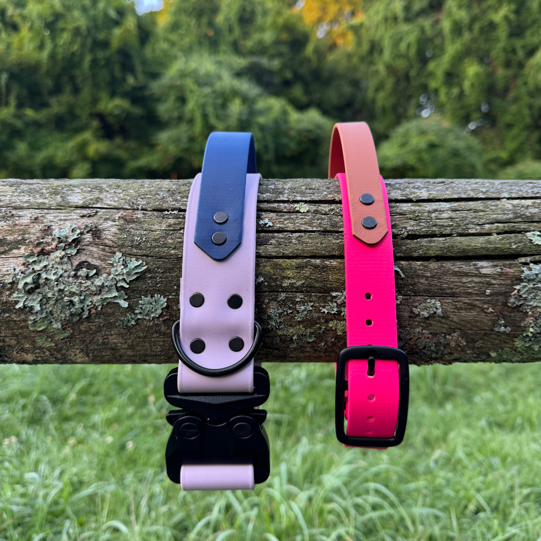 Durable Biothane Handle Dog Collar - Customizable & Waterproof – Tye ...